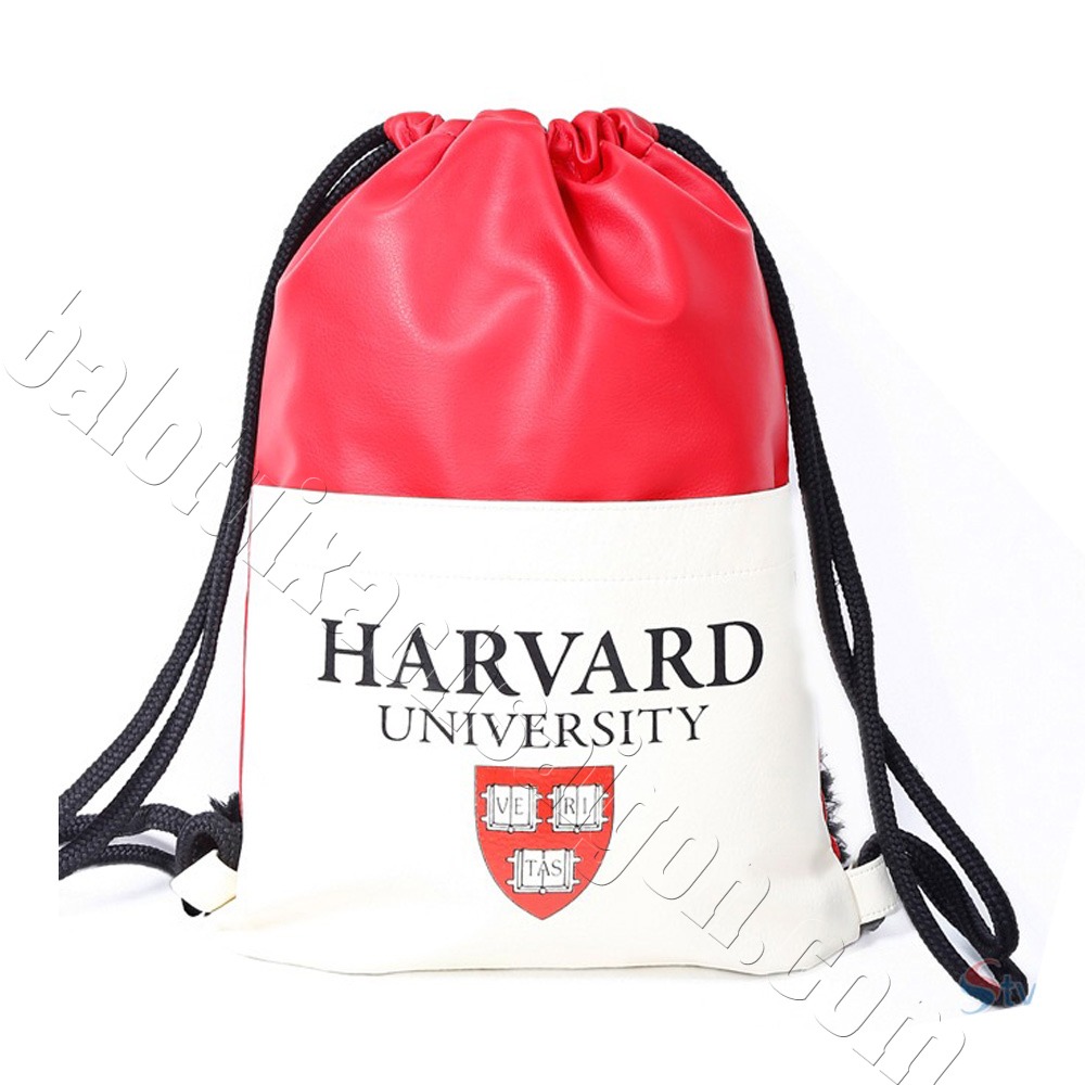 Tổng Hợp Các Loại Balo Được Sử Dụng Phổ Biến Nhất Hiện Nay